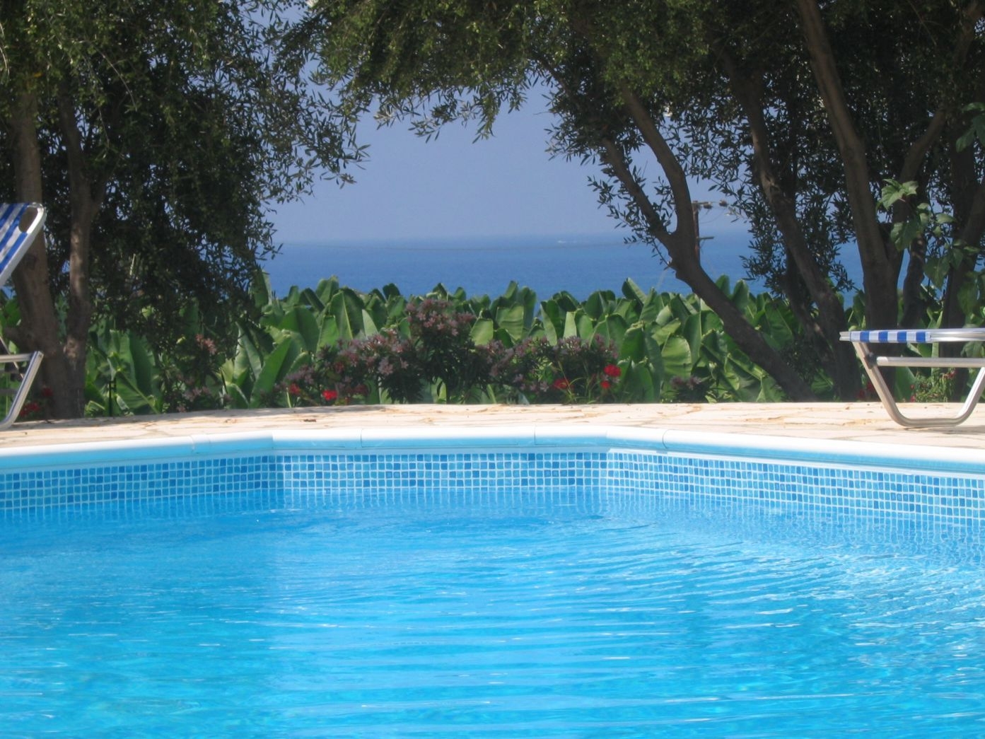 BANANA CYPRUS VILLAS, CORAL BAY, PAPHOS – Banana Gardens, Banana Sunset